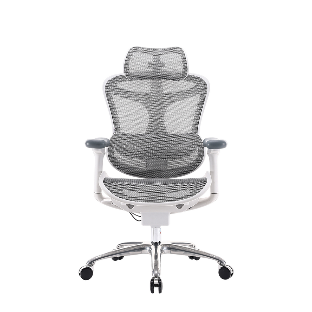 Sihoo C100 White Frame Grey Mesh Ergonomic Office Chair (5 Years Limit ...